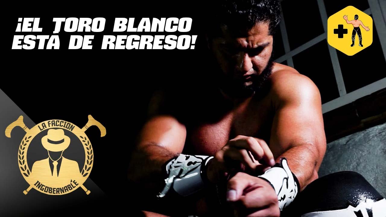 ¡EL TORO BLANCO RUSH está de regreso! - YouTube