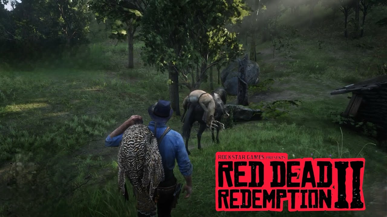 Clearing Bounty on Arthur head Red Dead Redemption 2 - YouTube