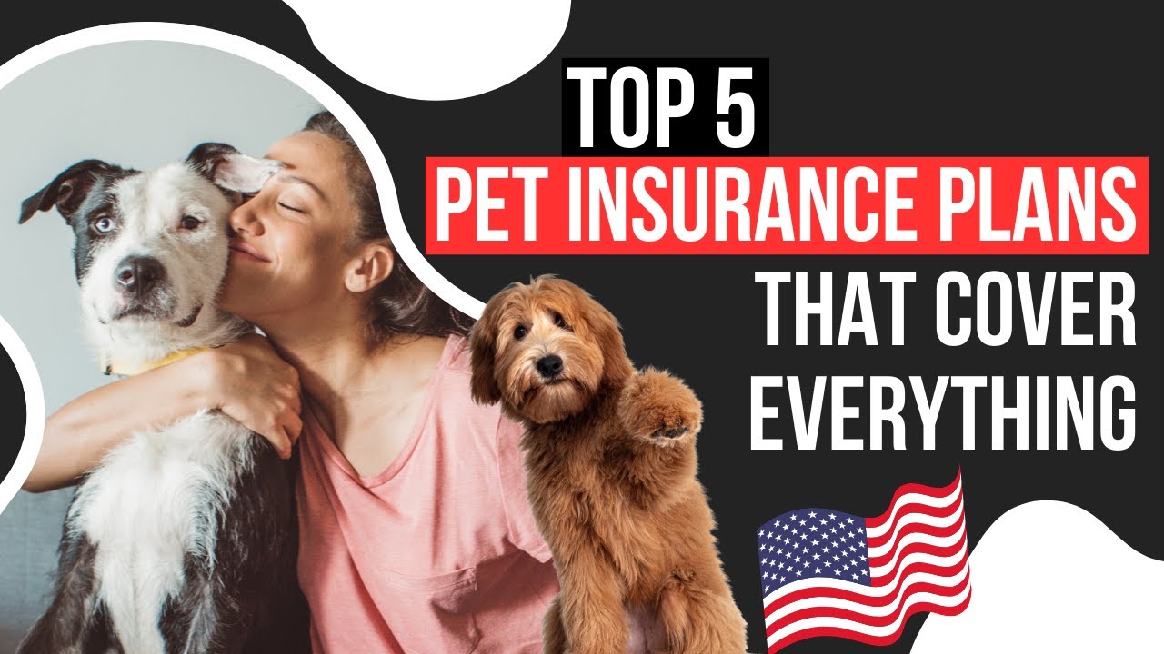 Top 5 Pet Insurance Plans That Cover EVERYTHING! 🐶🐱 (Best Pet Insurance ...