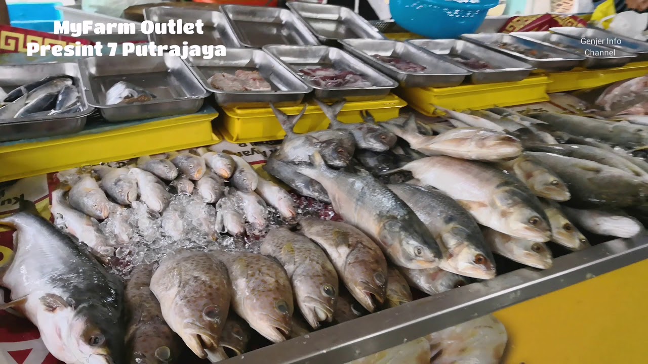 Murah Rugi Jika Tak Singgah di MyFarm Outlet Presint 7 Putrajaya - YouTube
