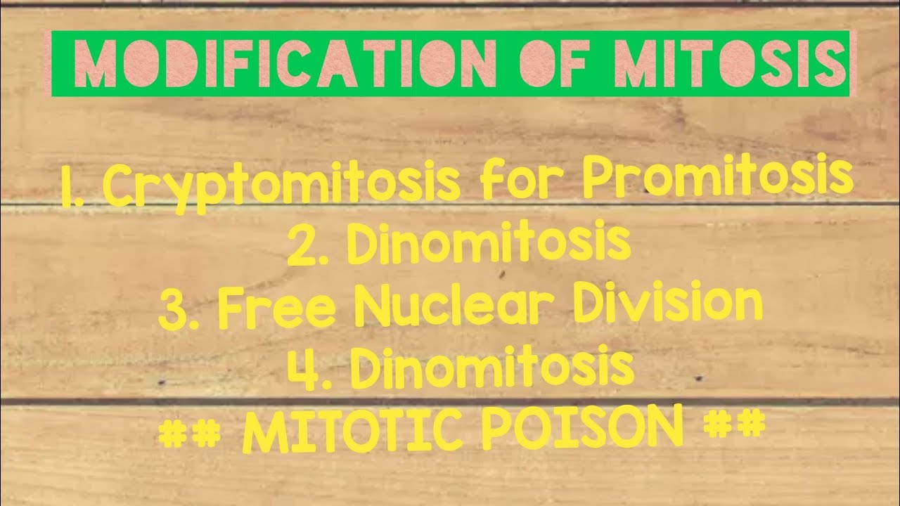 Modification of Mitosis :- cryptomitosis , Dinomitosis, free nuclear ...