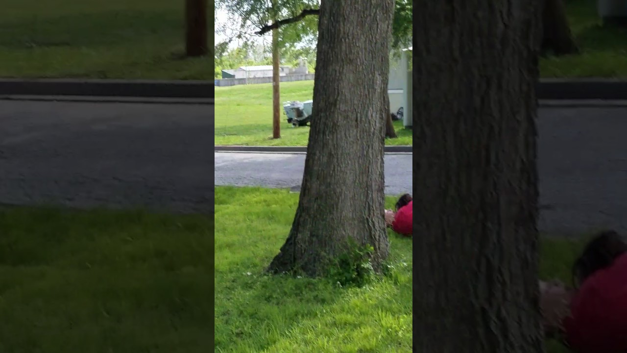 Kid Talks Trash and Gets Beat Up Bad, 2017 - YouTube