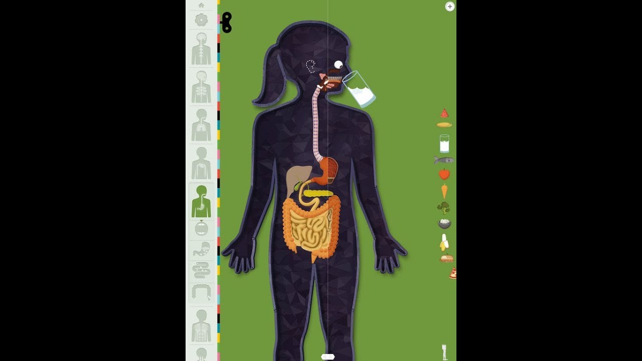 The Human Body by Tinybop part 2 - iPad app demo for kids - Ellie - YouTube