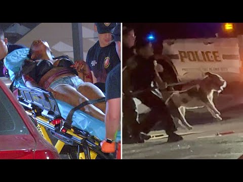 Woman critically injured in pit bull attack at San Antonio apartment