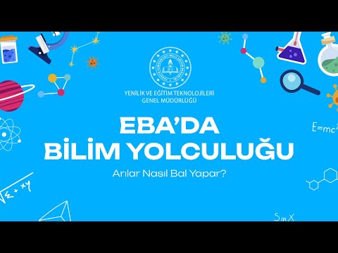 Gemiler Neden Batmaz?