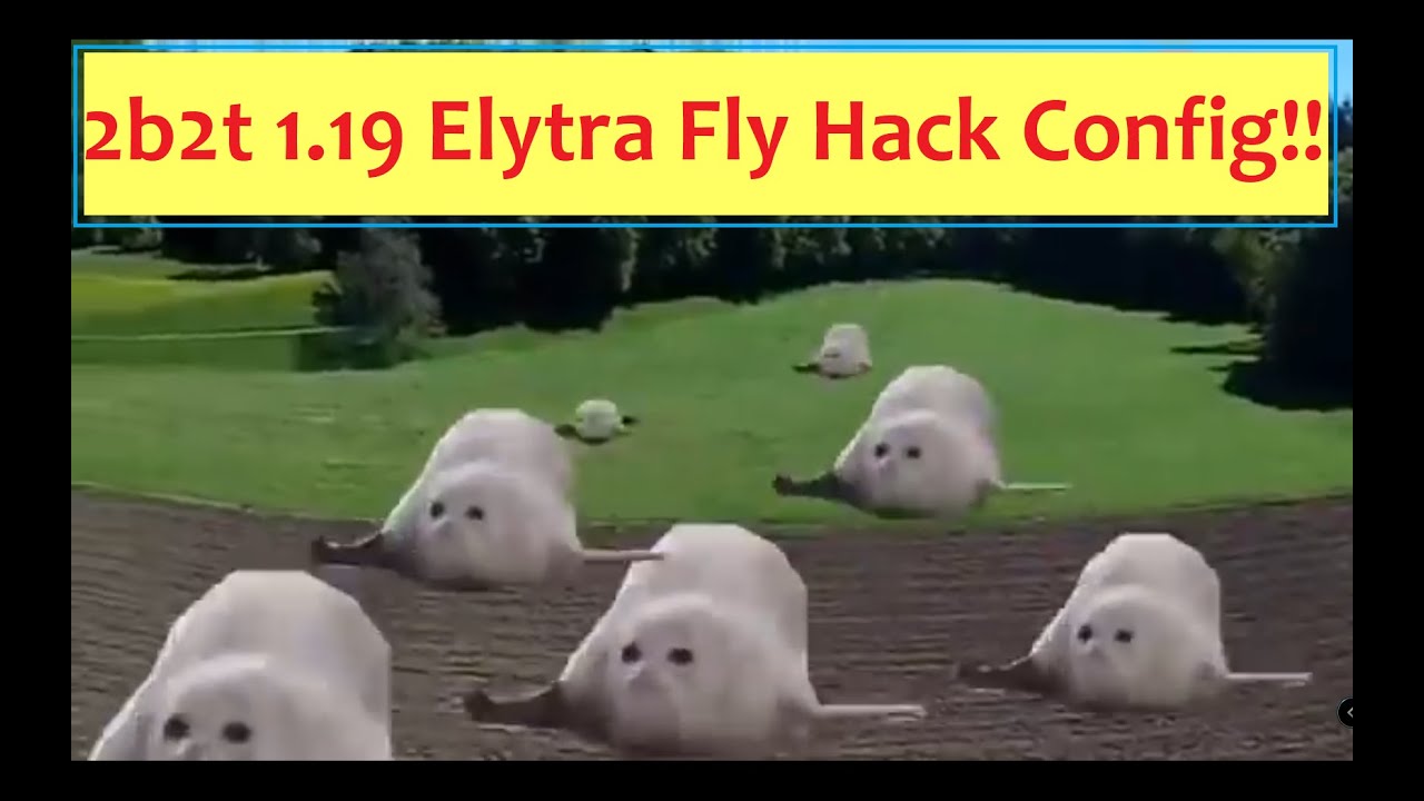 2b2t 1.19 Elytra Fly Config for Fast Highway Travel. - YouTube
