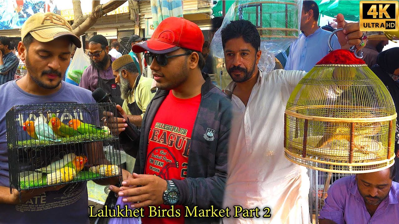 Lalukhet Birds Market Part 2 Karachi | Exotic and Unique Bird and ...
