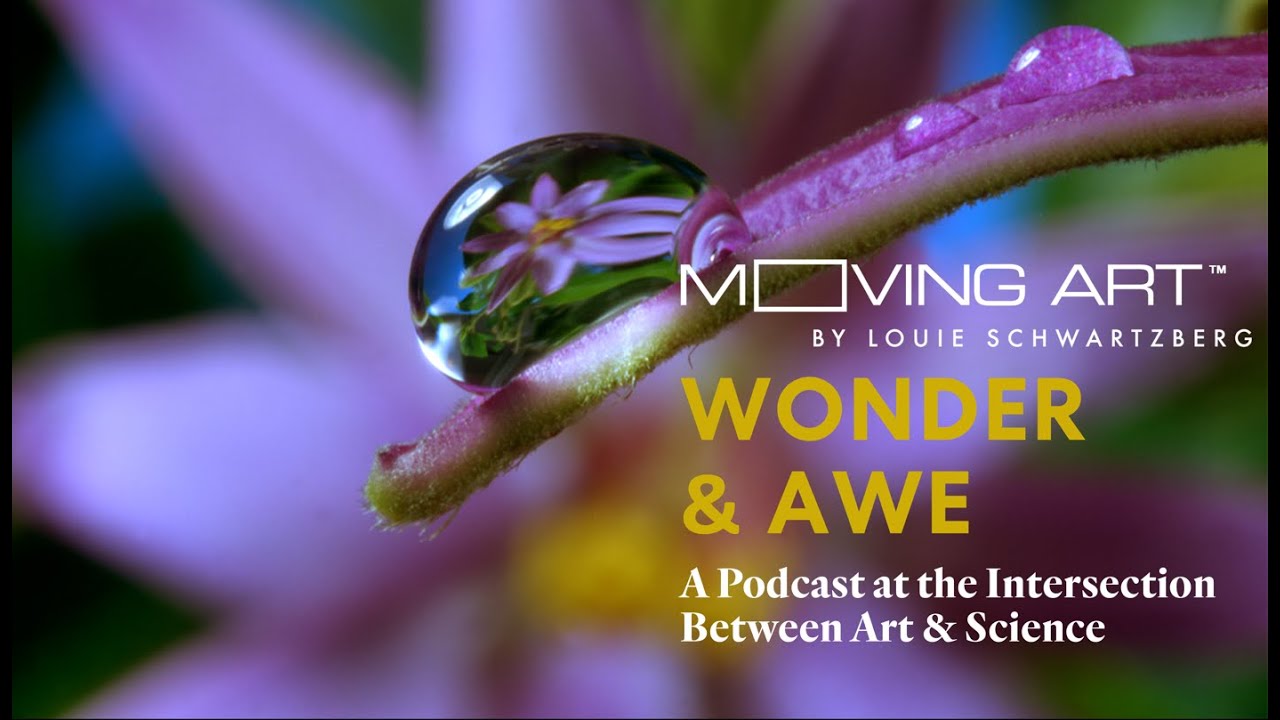 Wonder Awe Podcast Preview YouTube Wonder Awe Podcast Preview YouTube