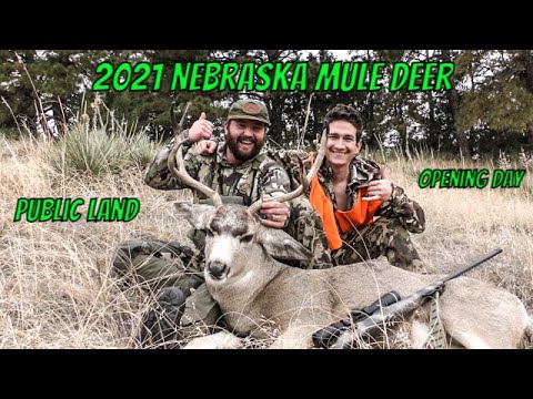 Nebraska Mule Deer Hunting - 2021 Public Land Gun Opener - YouTube