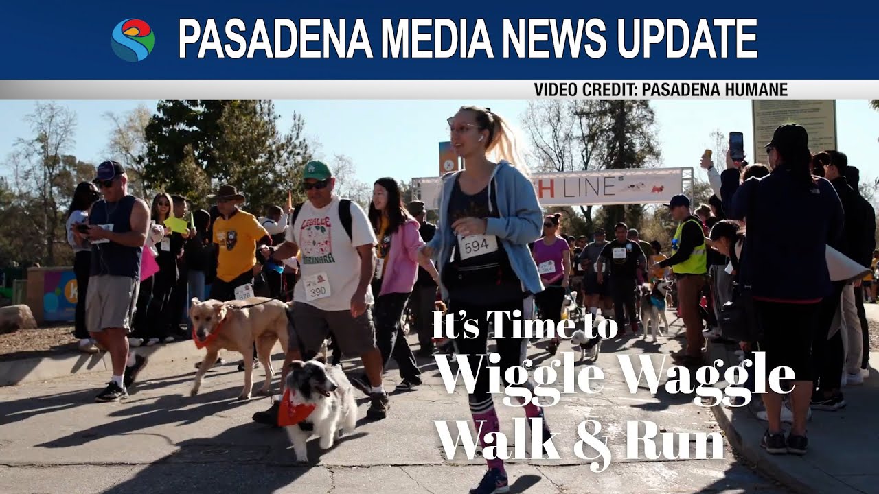 PMN - Pasadena Humane's Wiggle Waggle Walk & Run - YouTube