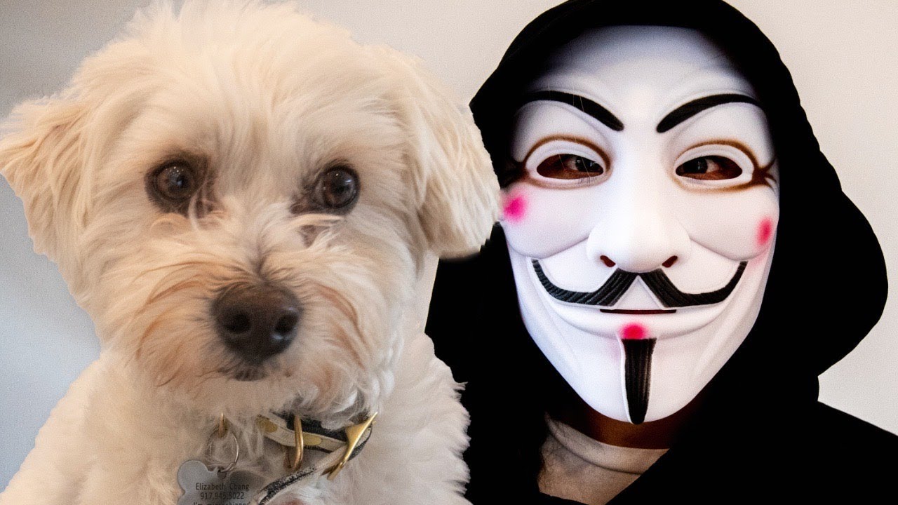 PUPPY FINDS HACKER CLUES IN BACKYARD (Project Zorgo?) - YouTube