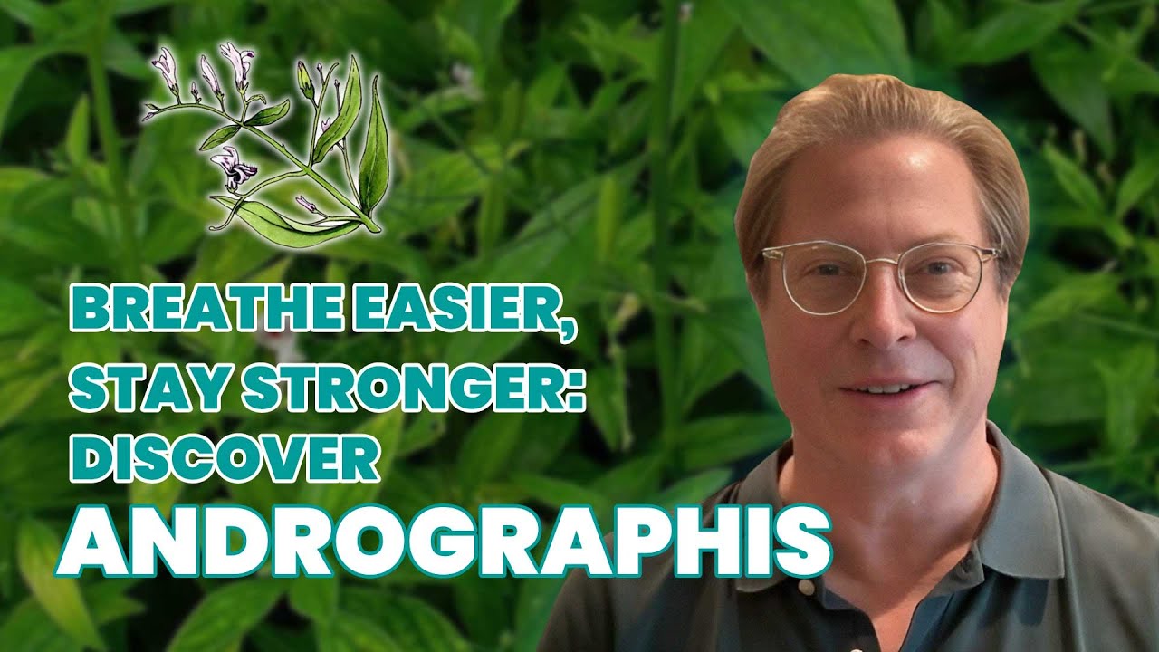 The Powerful Immune Boosting Herb You NEED to Know! Andrographis Complex Explained - YouTube