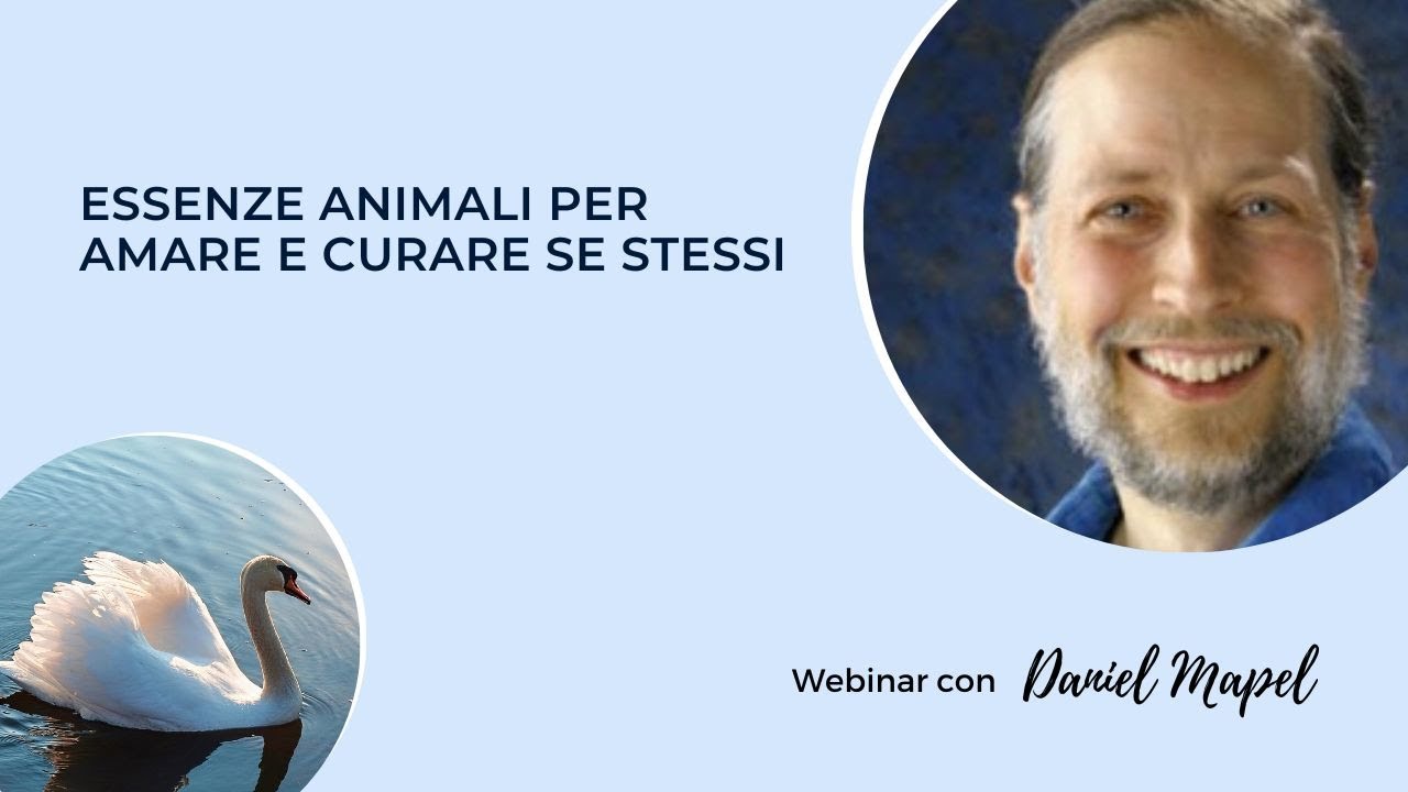 Daniel Mapel - Essenze animali per amare e curare se stessi - YouTube