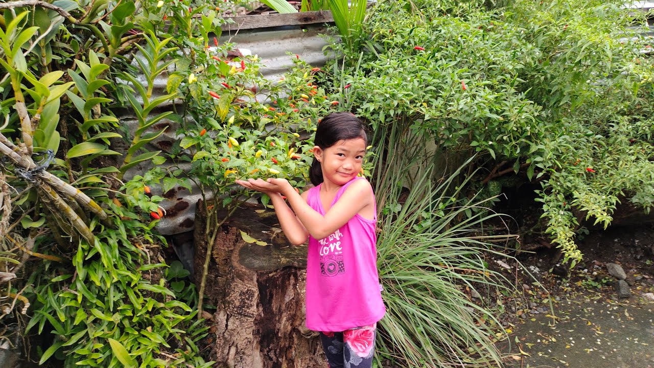 siling Malaki - YouTube