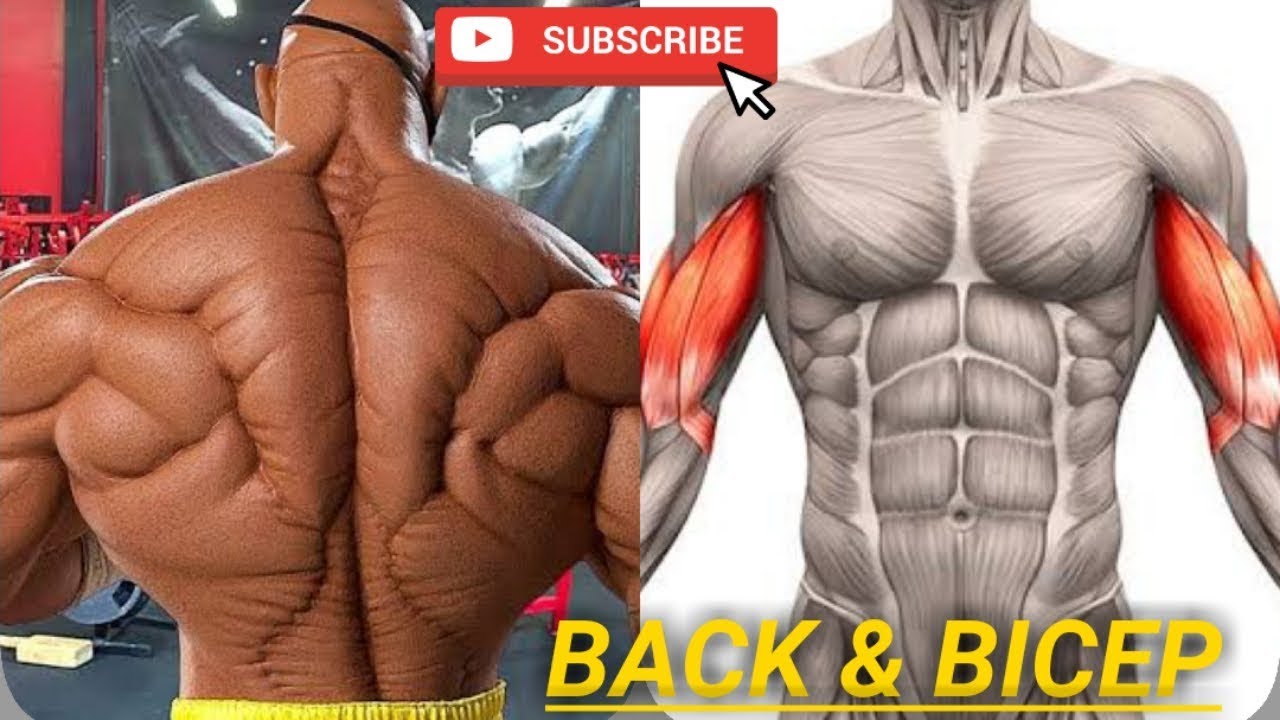 Yasir khan Full Back and Bicep Workout | by H.A Bodybuilding - YouTube