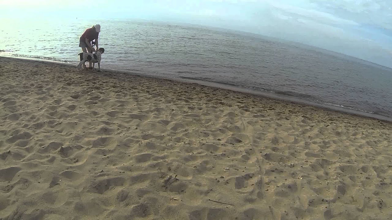 First Day at the Beach - YouTube