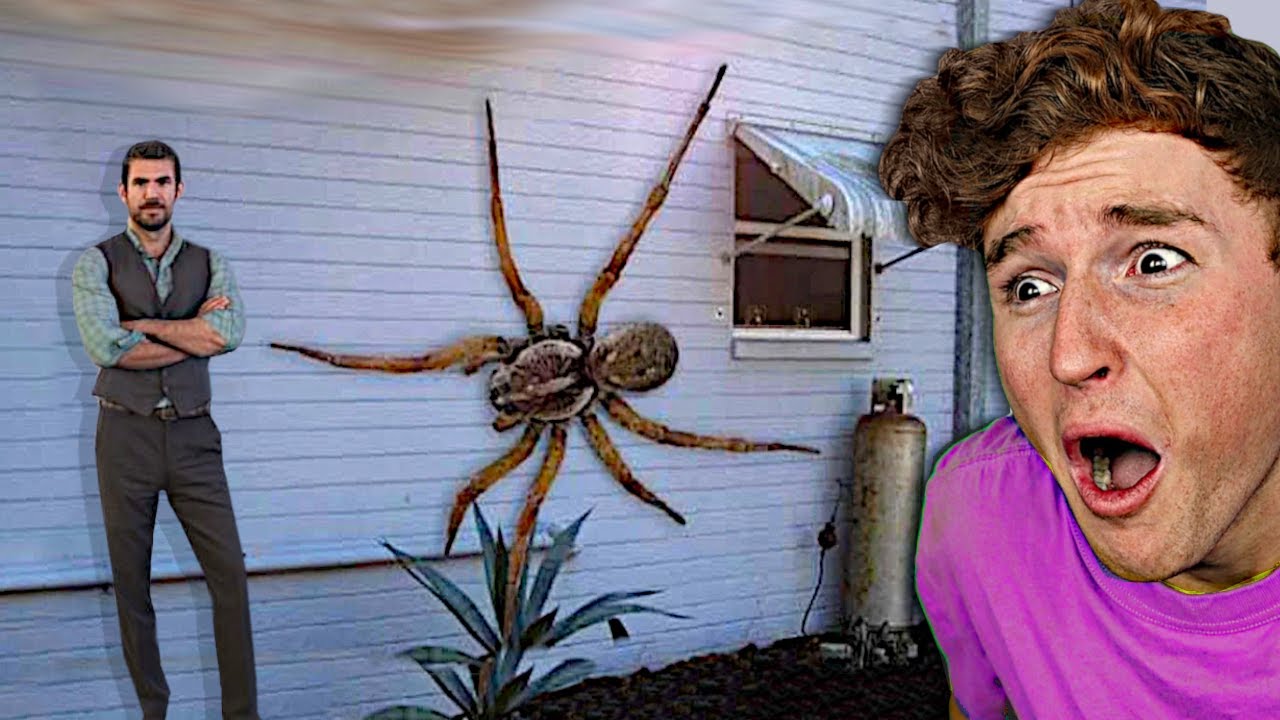 The SCARIEST ANIMALS That Actually Exist.. - YouTube