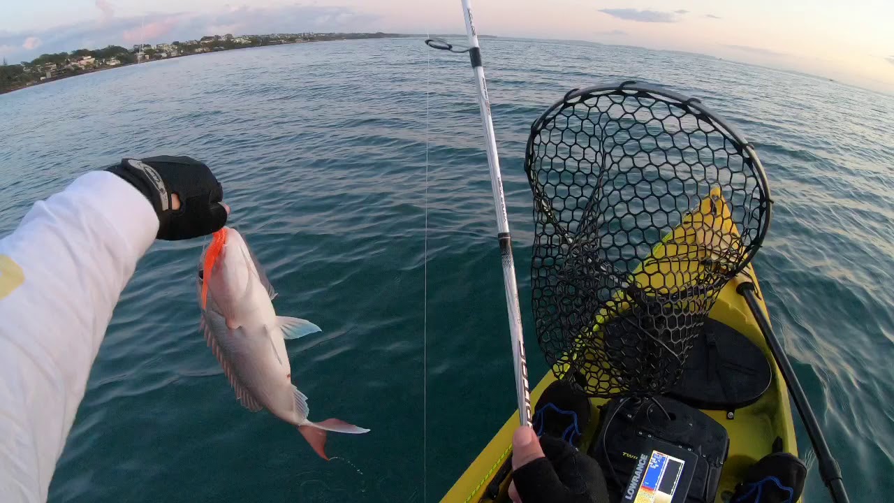Kayak fishing for snapper using softbaits - YouTube