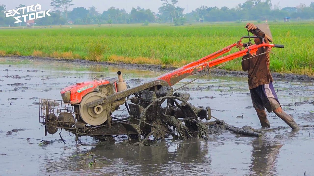 Traktor Sawah Dengan Diesel Kubota Meratakan Lumpur Untuk Persiapan ...