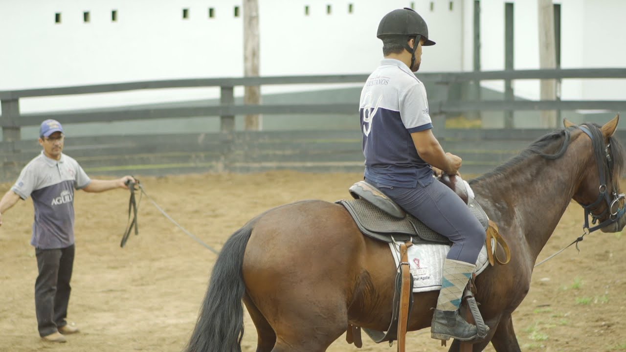 Doma racional - domando e já montando um Cavalo puro sangue Lusitanos ...