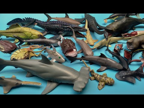 Hewan Laut Purba, Ikan Hiu, Hewan Laut Dalam, Mosasaurus, Plesiosaurus, Ammonit, Trilobita