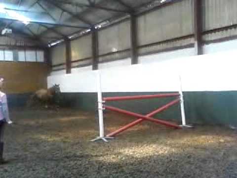Klio jumping 1.20m @ Bargower Riding School - YouTube
