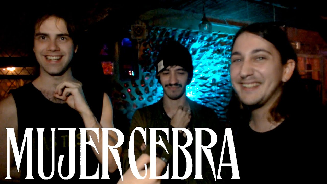 Mujer Cebra en Tucumán: "Grabamos el segundo disco durante el mundial ...