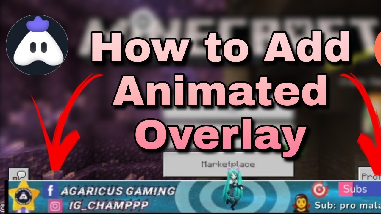 How To Make Animated Overlay For Turnip || Turnip Animated Overlay ...
