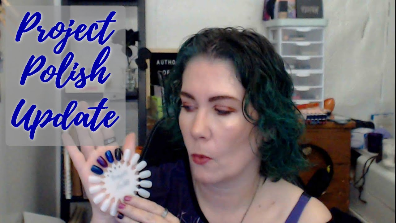 Project Polish Update 1: February 2023 - YouTube