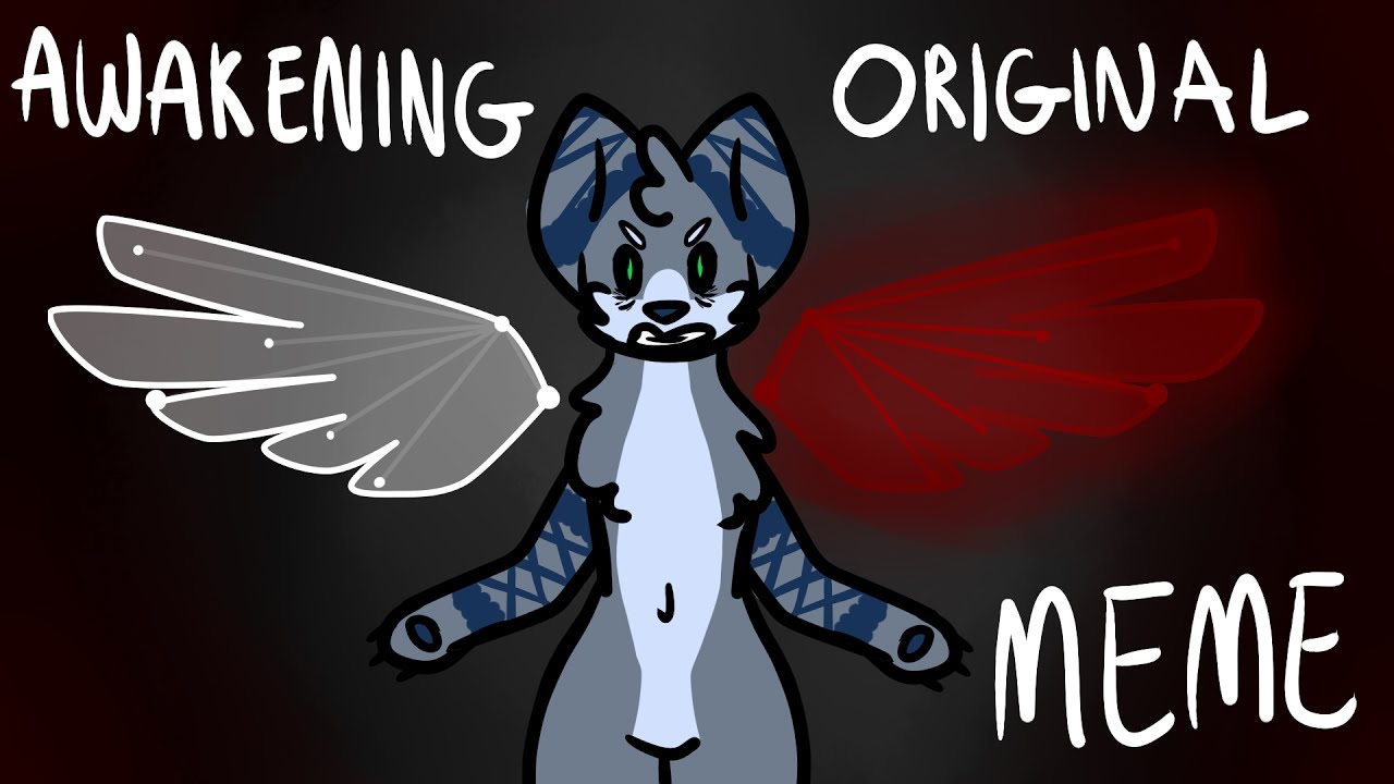 Awakening // ORIGINAL MEME - YouTube