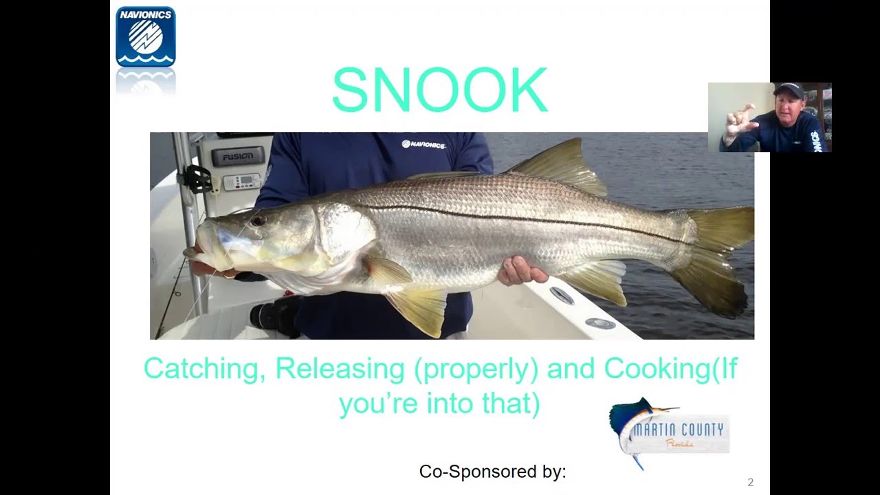 Snook: Catching, handling (properly) and cooking (if that's your thing ...