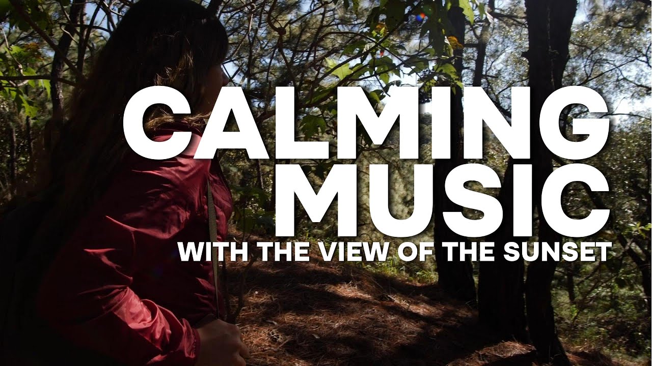 Calming Music - Stress Relief, Sleep Music and Meditation Music - YouTube
