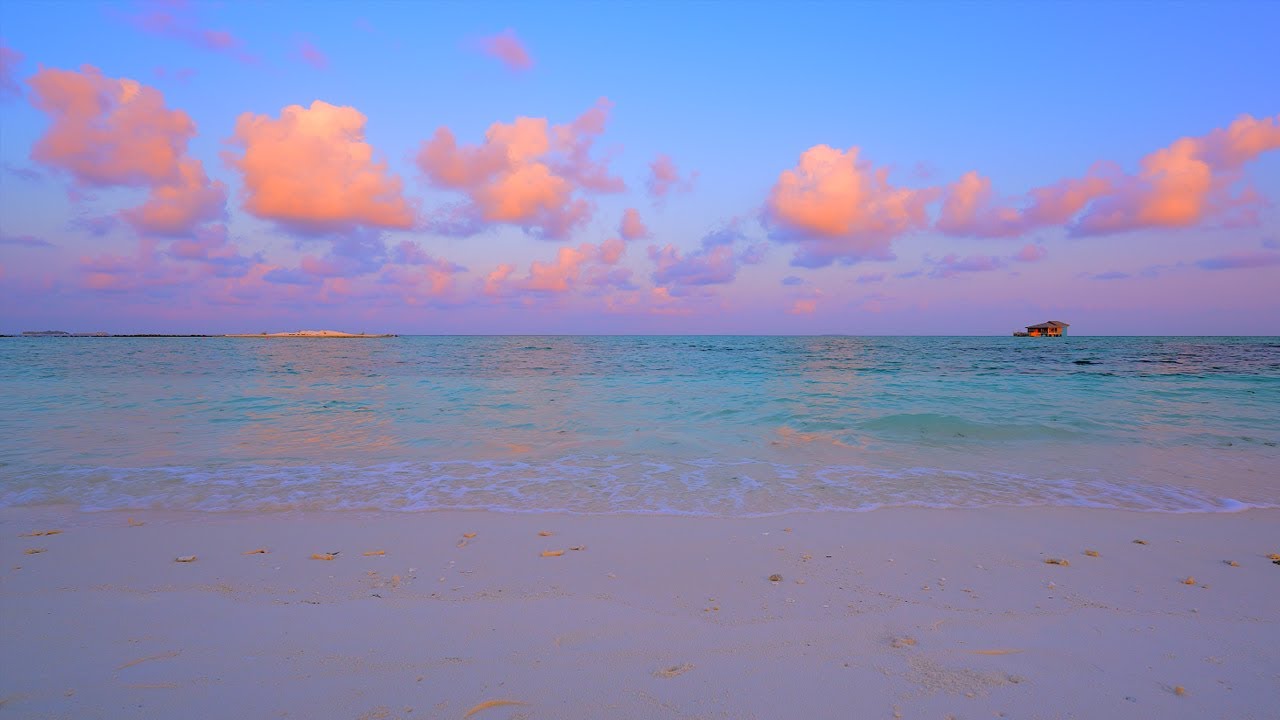 Maldives Ocean 4K 🏝 Tropical Beach in Summer. Ocean sounds for sleep and study - YouTube