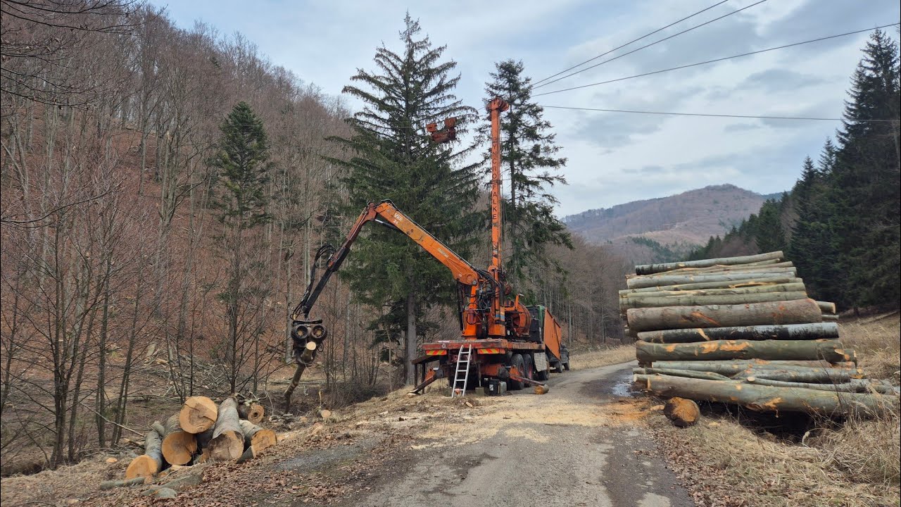 Učíme sa postupne čo a ako.Ťažba lanovkou Syncrofalke v kopci.Stihl ...