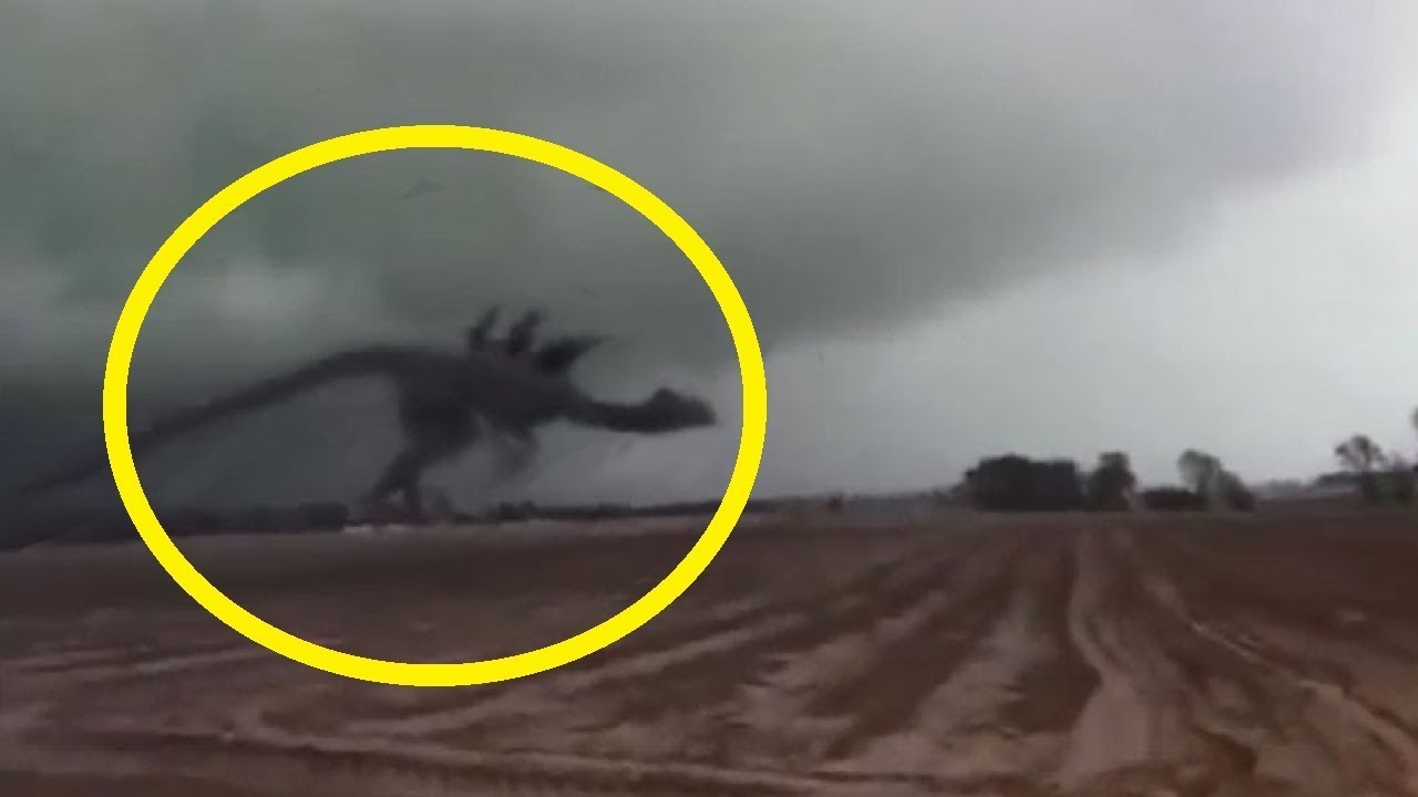 World's BIGGEST Cryptid Monsters - YouTube