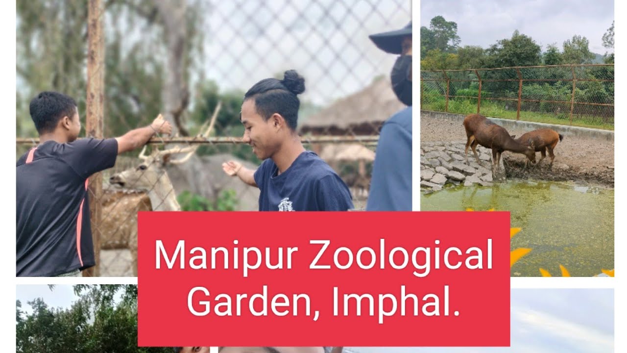 Imphal Zoo, Manipur. - YouTube