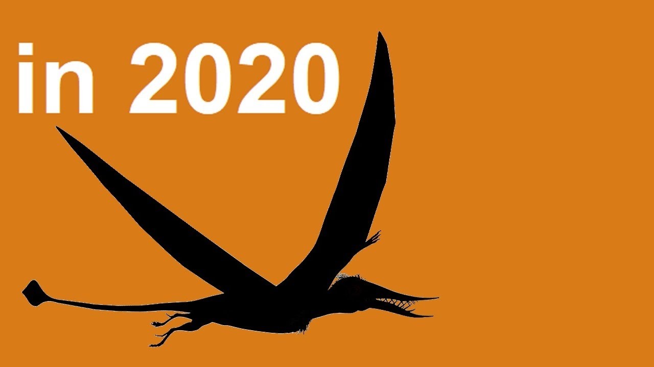 Pterosaur Sightings in 2020 - Pterodactyls ALIVE! - YouTube