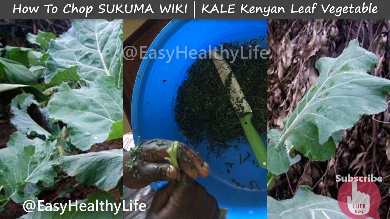 How To Chop Leaf Vegetable SUKUMA WIKI KALE - YouTube