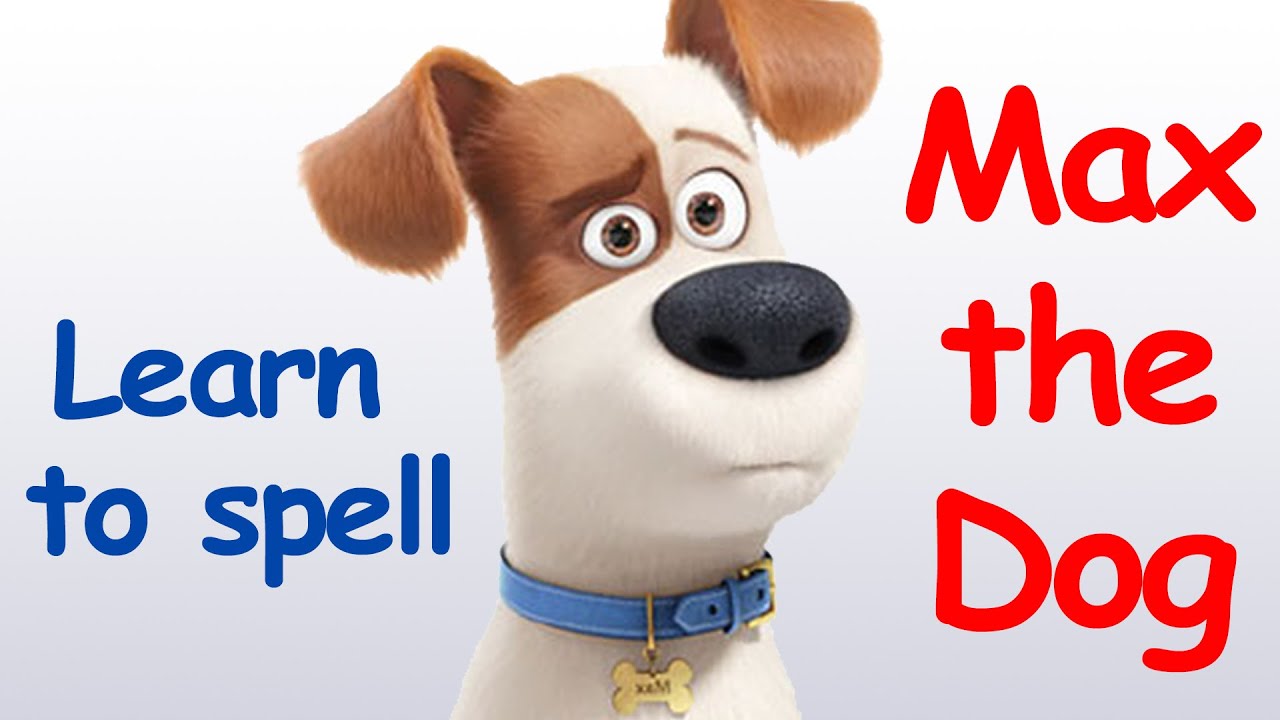 Learn to Spell with Secret Life of Pets - Max the Dog 4K UHD - YouTube