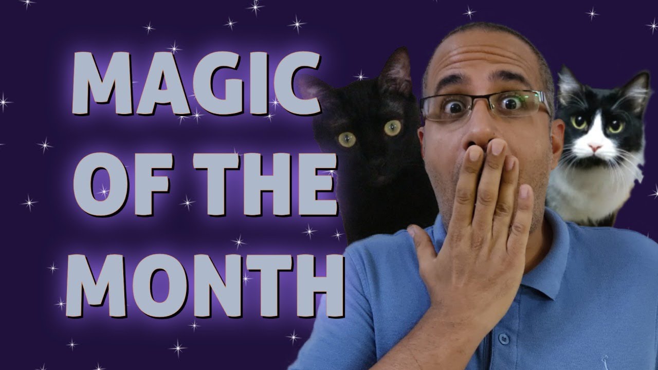Magic Of The Month May | Cats And Magic Tricks - YouTube