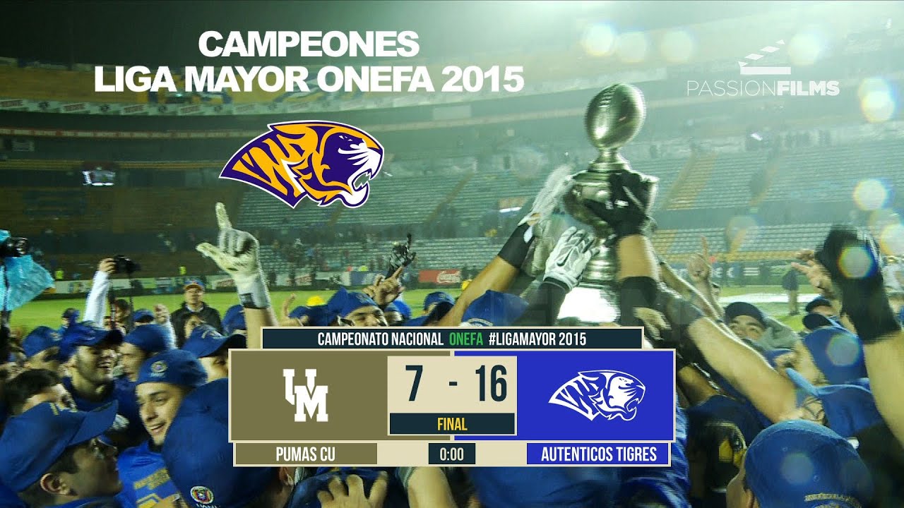 Highlights GRAN FINAL Autenticos Tigres UANL vs Pumas CU UNAM 13Nov2015 ...