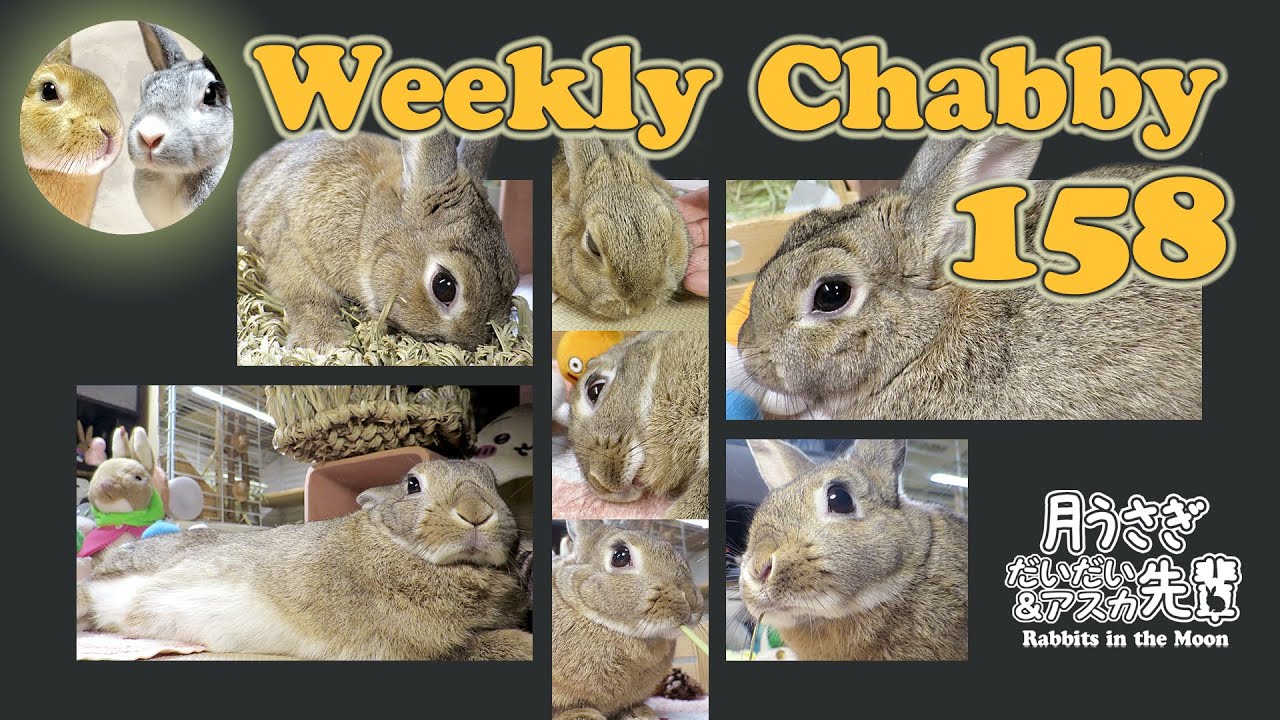 Weekly Chabby 158 - YouTube