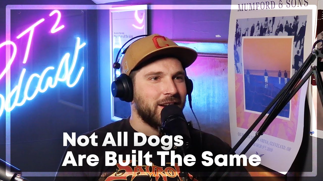 Not All Dogs Are Built The Same! - YouTube