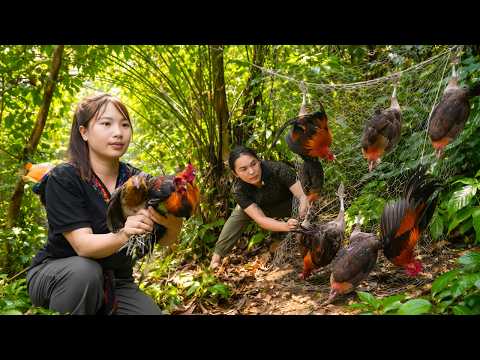 Skills in setting traps to catch wild chickens, gathering bamboo shoots - Survival in the wilderness