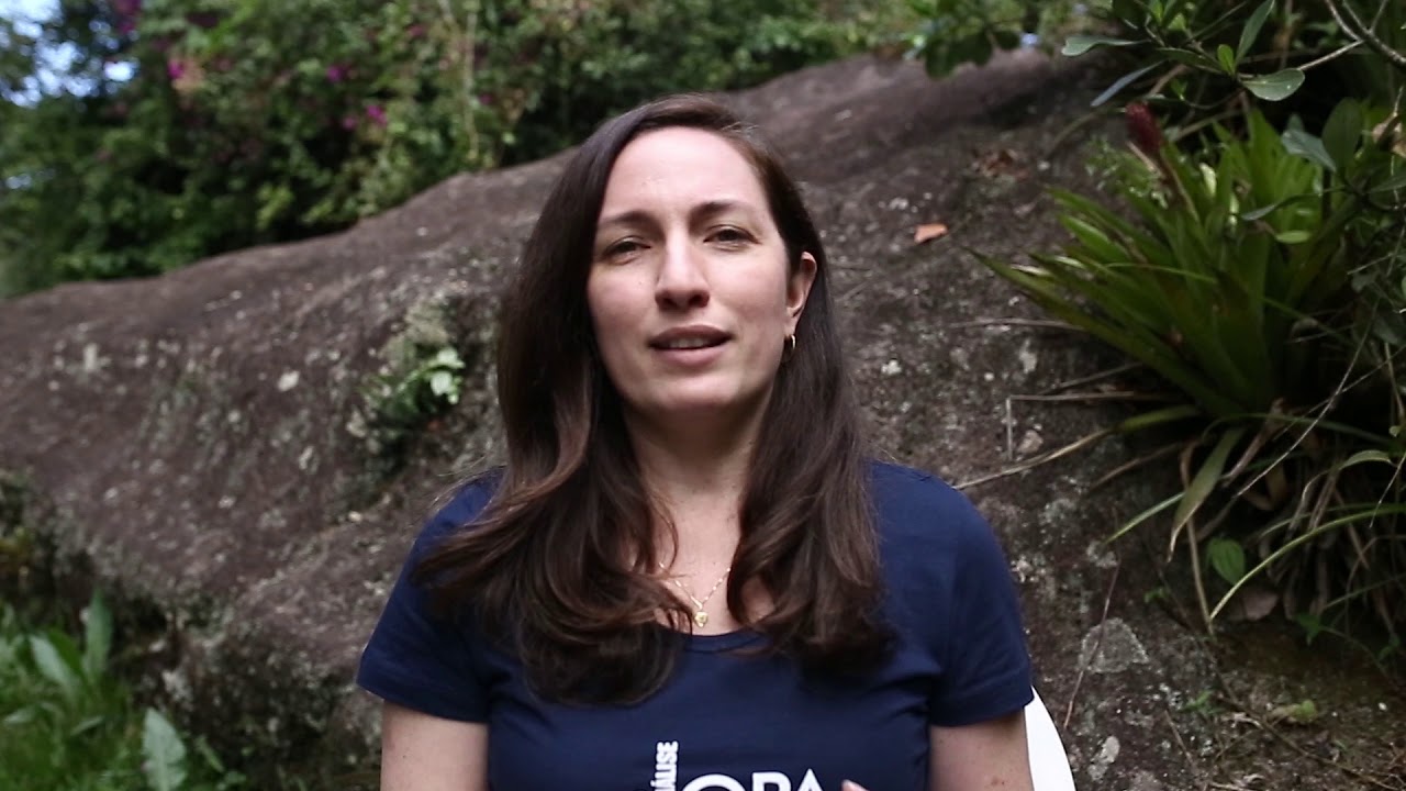 Processo DECH por Marina Papa - YouTube