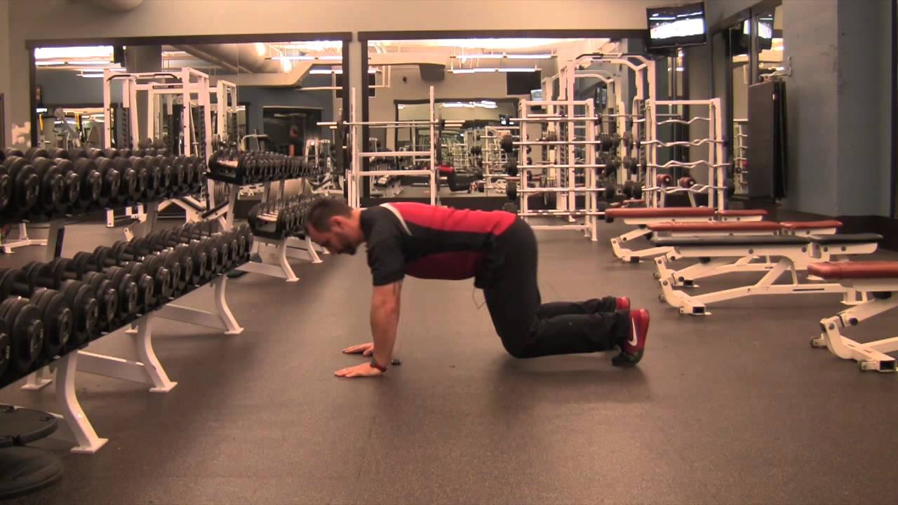 Bear Squats - YouTube