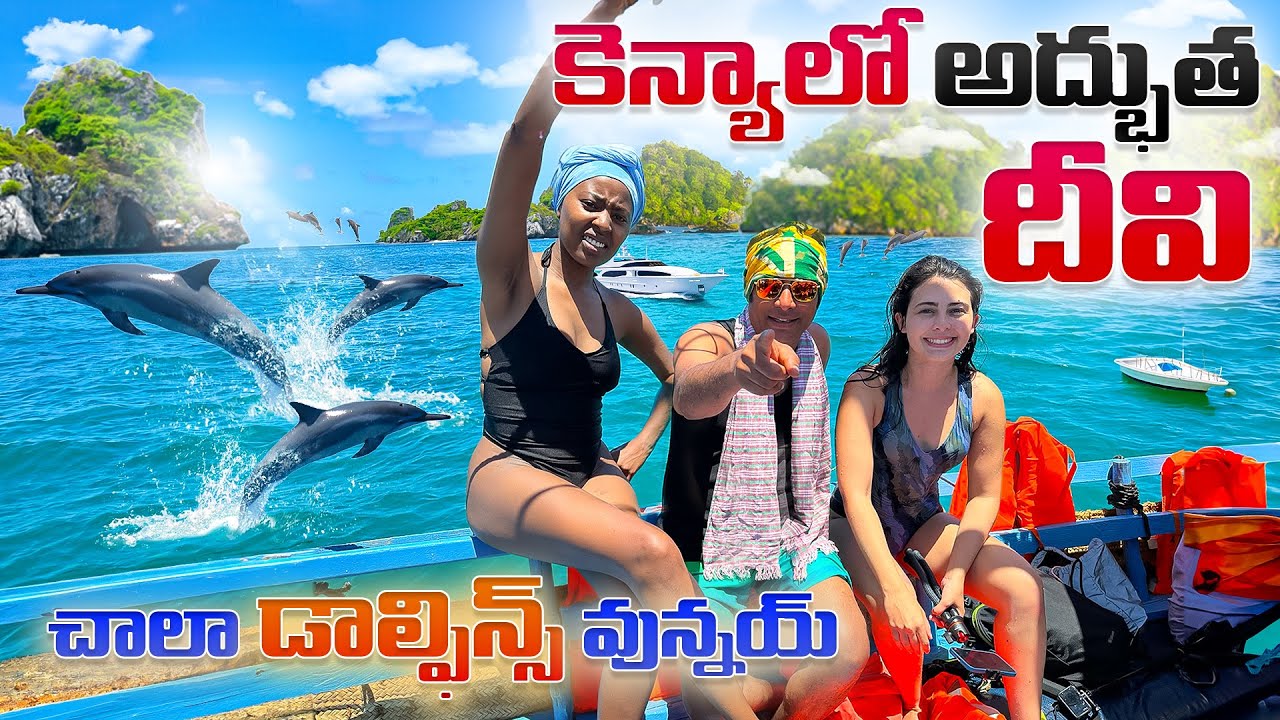 Wasini island dolphin tour kenya - YouTube