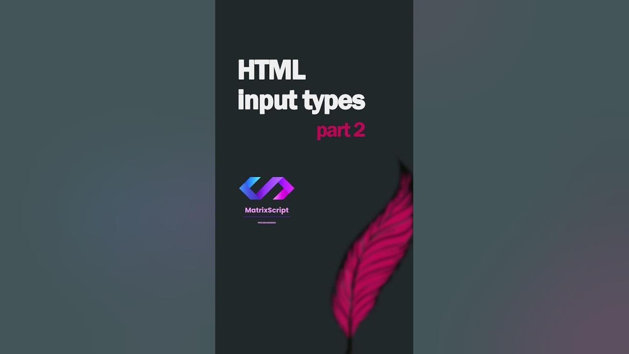 Html Input Part 2 Html5 Css Webdesign Webdevelopment Js Css3 Javascript Coding Ui