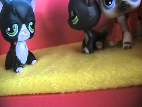 LPS cat family - YouTube