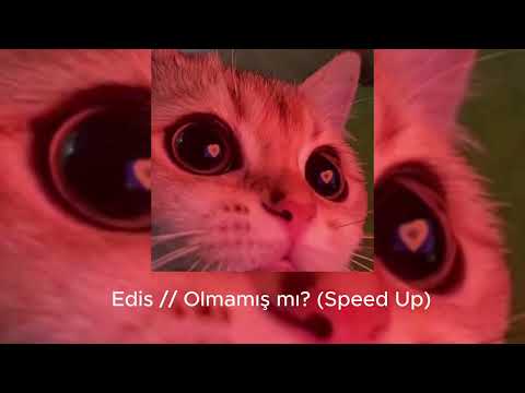 Edis // Olmamış mı? (Speed Up)